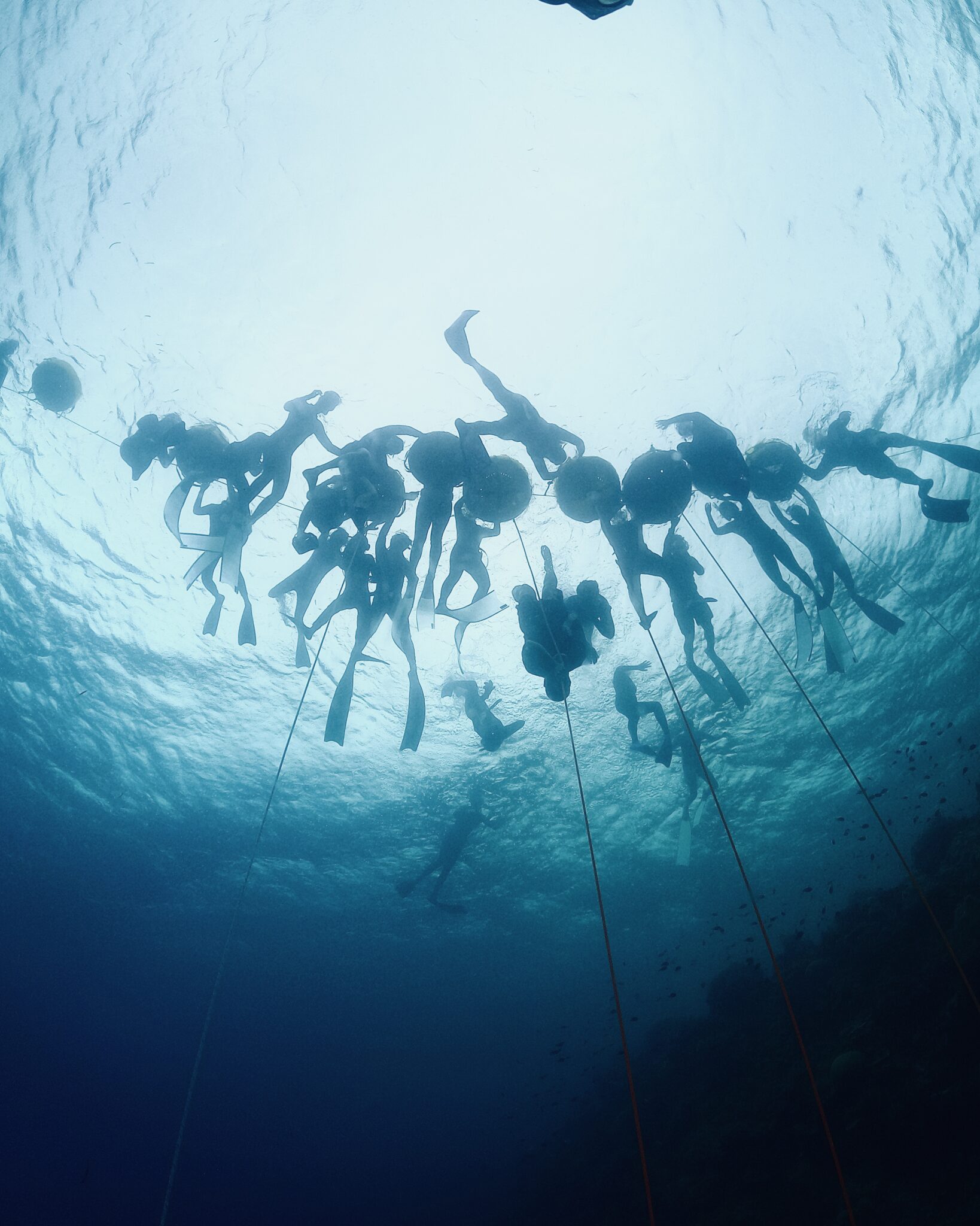 Freediving in Panglao Bohol | Courses & Training - Debocean Freediving